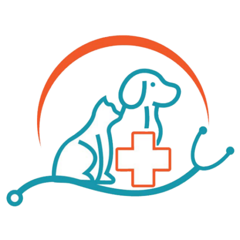 Virginia Beach's First Stand Alone Urgent Care Clinic In VA | Vets Now! Vet