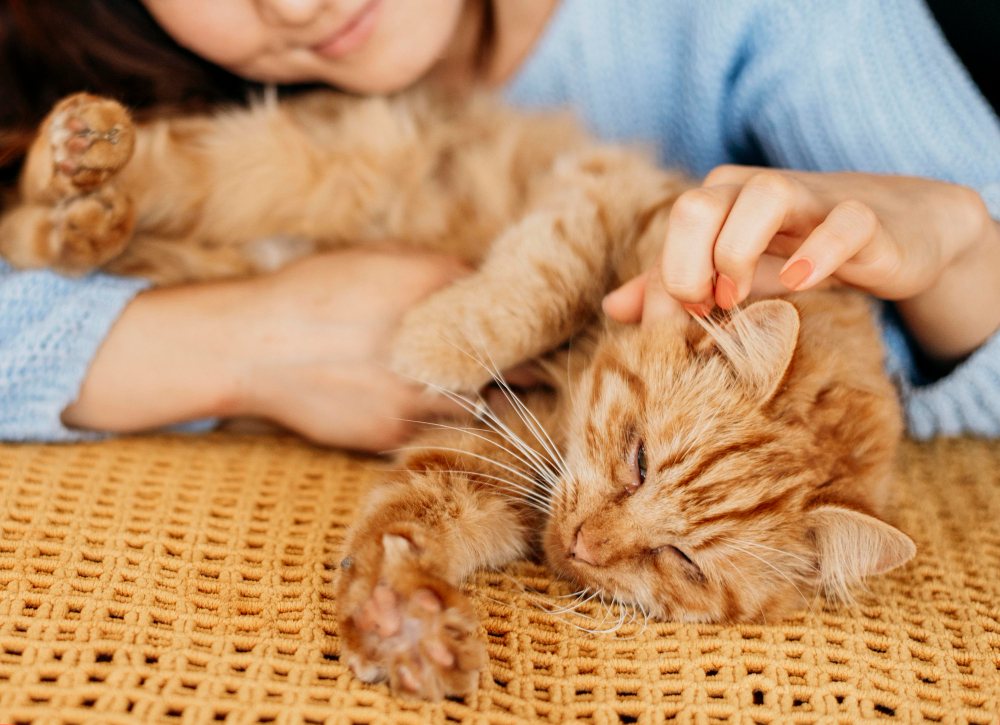 Skin Allergies – Itching, Rashes, Hot Spots In Virginia Beach, VA 23453 ...